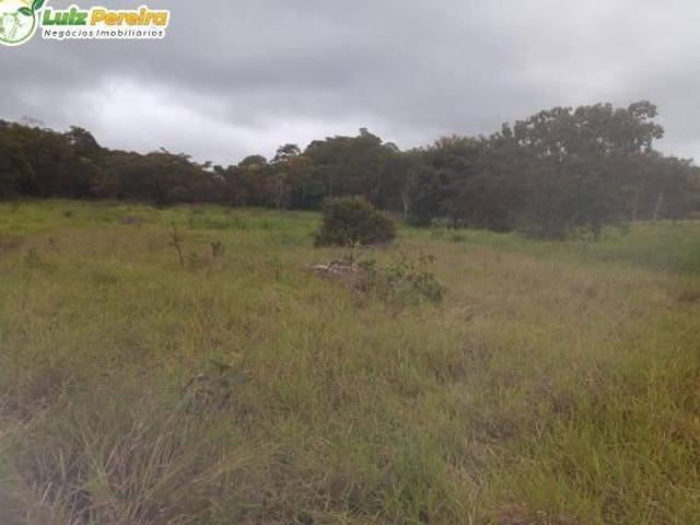 Terreno para venda em Centro, Campina Verde