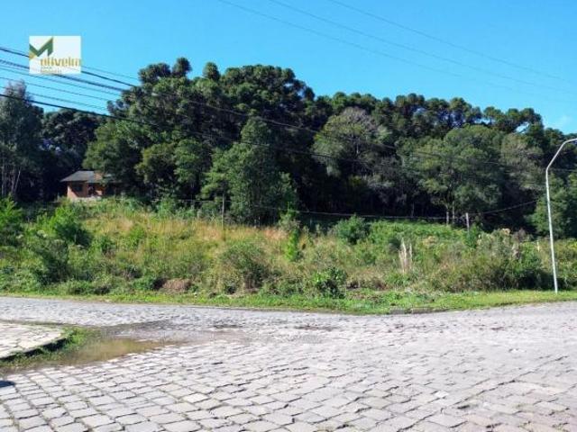 Terreno para Venda em Centro Canela RS