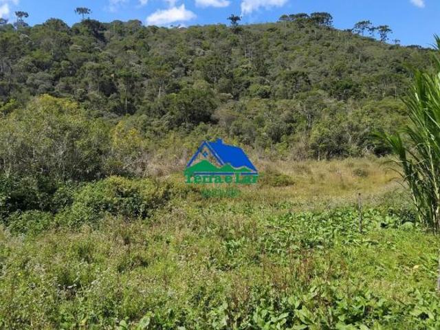 Terreno para venda em Centro, Carvalhos