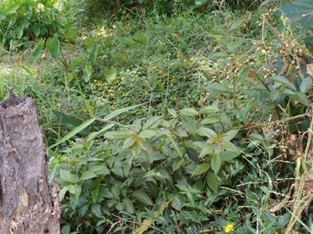 Terreno para venda em Centro, Contagem