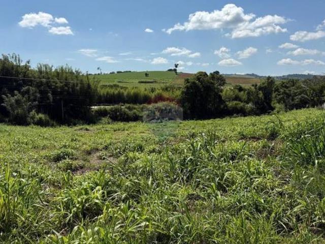 Terreno para venda em Centro de 1000.00m²