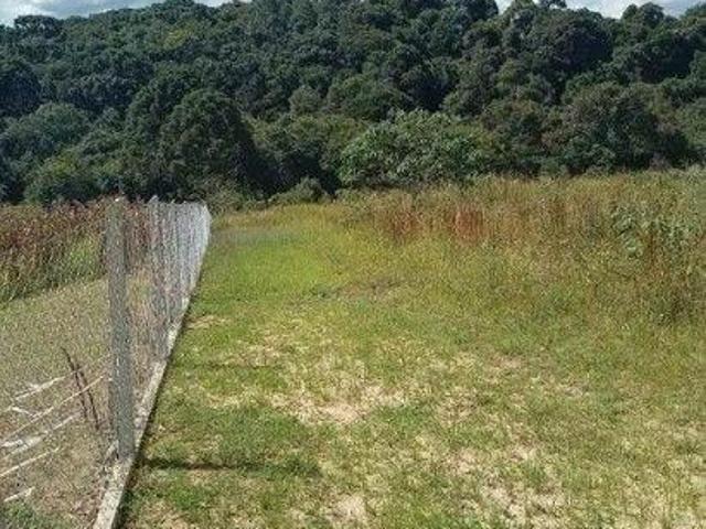 Terreno para venda em Centro de 10500.00m²
