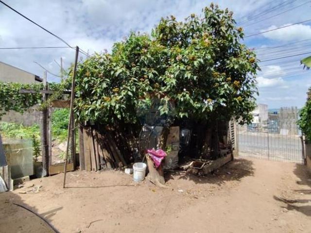 Terreno para venda em Centro de 250.00m² com 10 Garagens