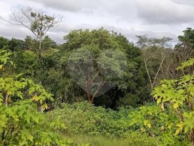 Terreno para venda em Centro de 2925.00m²