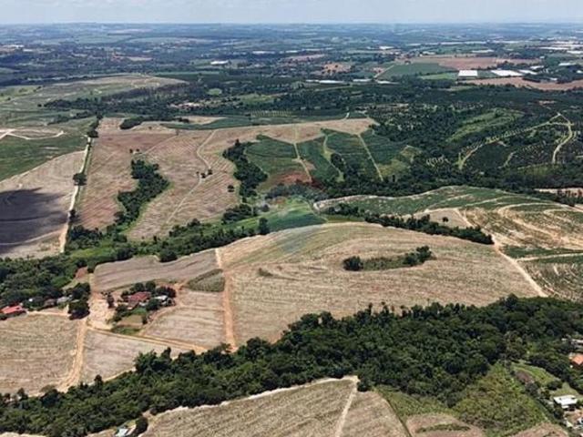 Terreno para venda em Centro de 40500.00m² com 10 Garagens