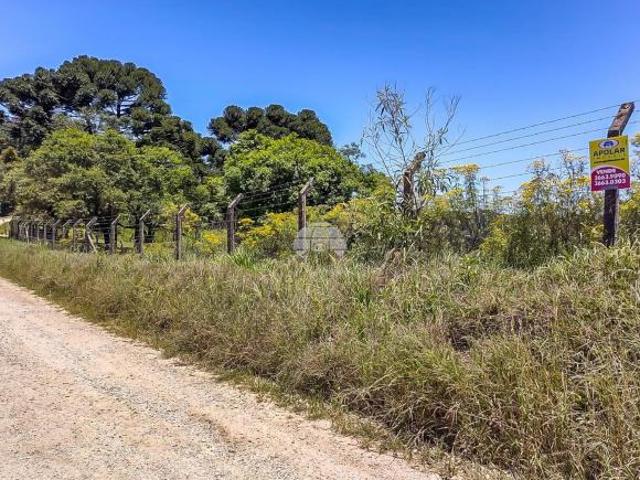Terreno para venda em Centro de 4223.00m²