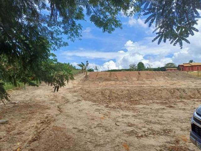 Terreno para venda em Centro, Delfinópolis