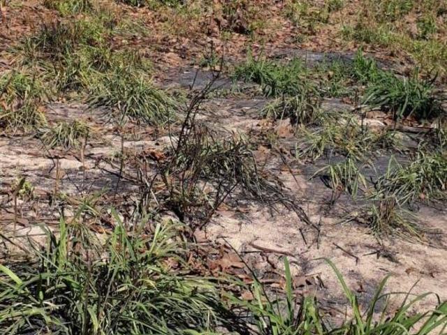 Terreno para venda em Centro, Esmeraldas
