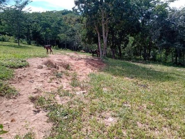 Terreno para venda em Centro, Esmeraldas