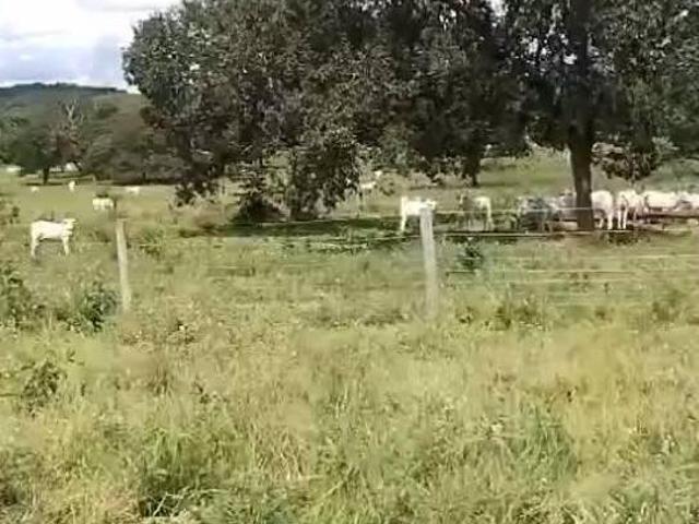 Terreno para venda em Centro, Figueirão