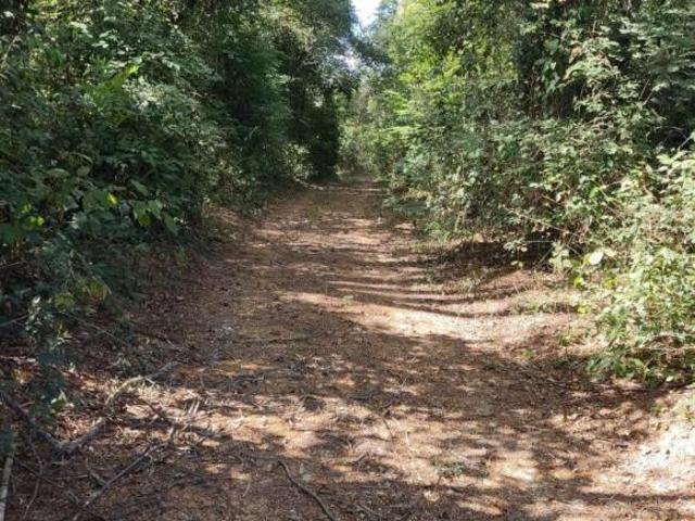 Terreno para venda em Centro, Florestal