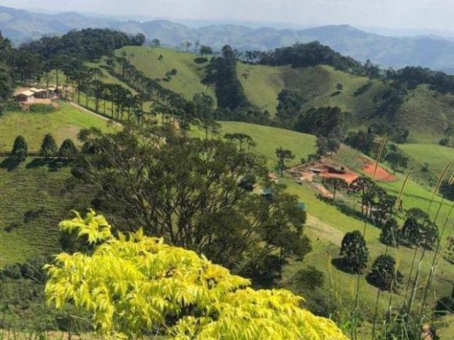 Terreno para venda em Centro, Gonçalves
