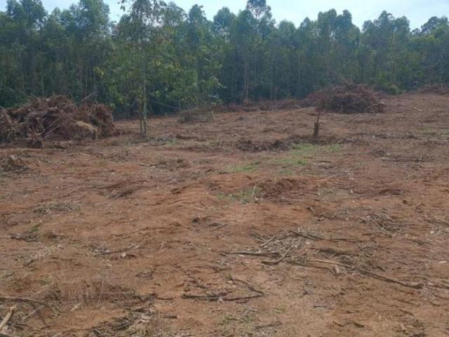 Terreno para venda em Centro, Itatiaiuçu