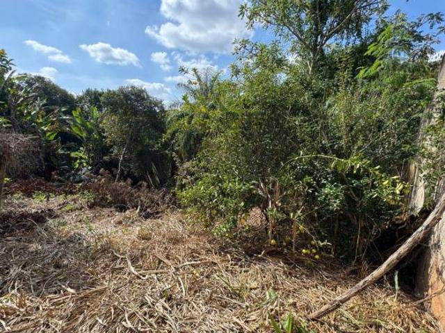 Terreno para venda em Centro, Igarapé