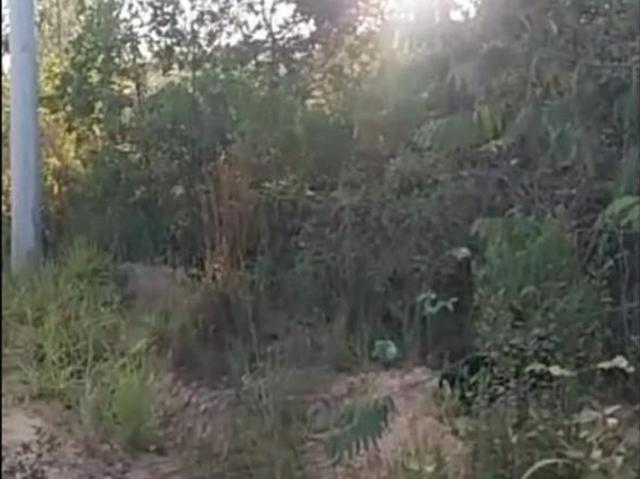 Terreno para venda em Centro, Jequitibá