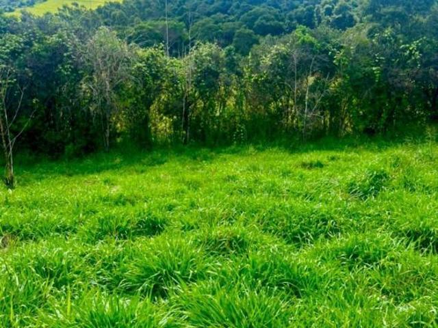 Terreno para venda em Centro, Paraisópolis