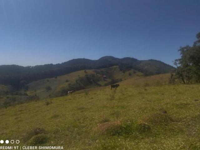 Terreno para venda em Centro, Paraisópolis
