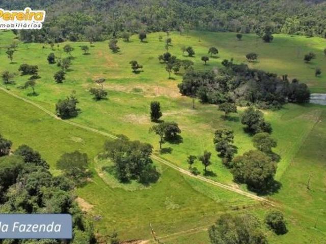 Terreno para venda em Centro, Pedro Gomes