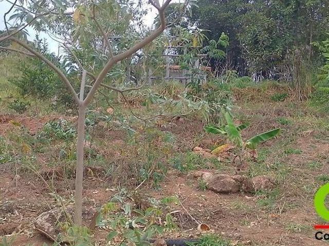 Terreno para venda em Centro, Santana de Caldas