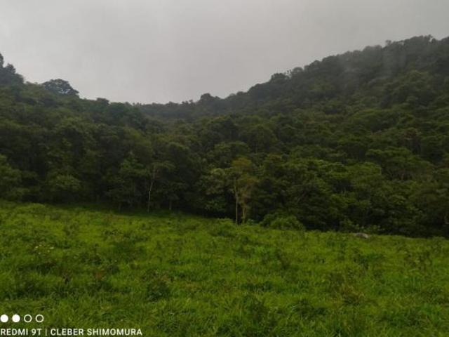 Terreno para venda em Centro, Sapucaí Mirim