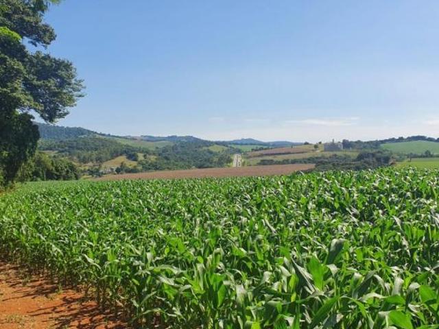 Terreno para venda em Centro, Três Corações