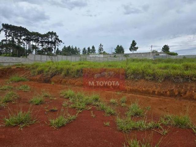 Terreno para venda em Chácara Tropical caucaia Do Alto de 10000.00m²