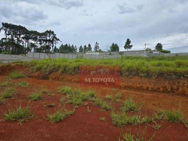 Terreno para venda em Chácara Tropical caucaia Do Alto de 10000.00m²