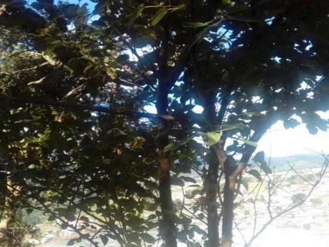Terreno para venda em Chácara Alvorada, Poços de Caldas