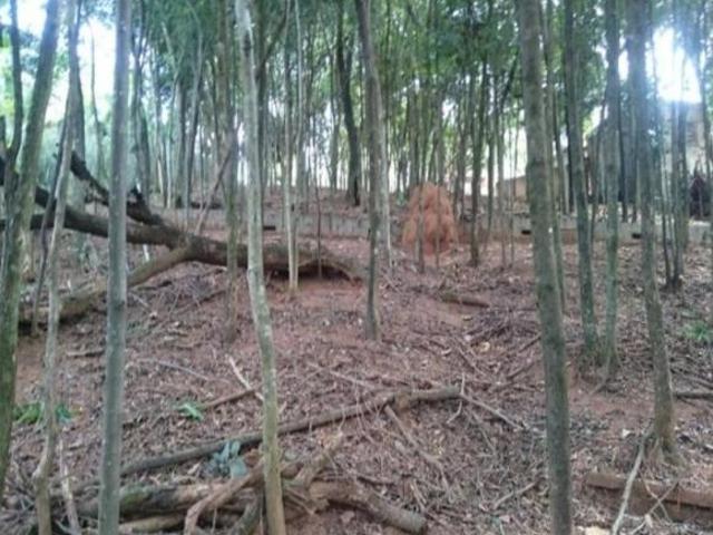 Terreno para venda em Chácara Cotia, Contagem
