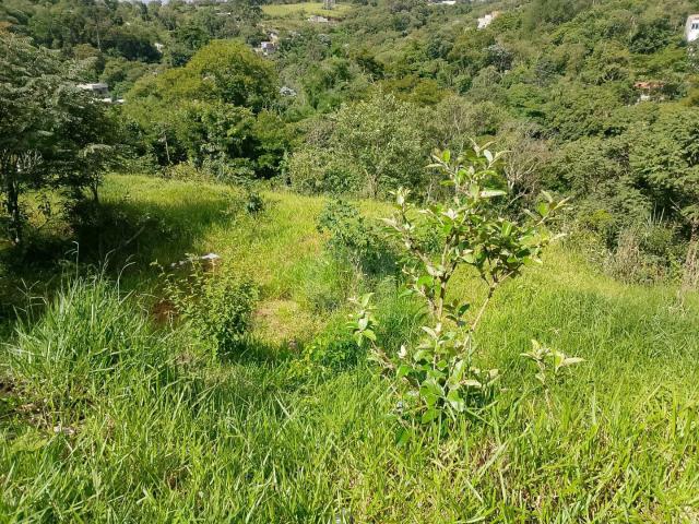 Terreno para venda em Chácara Das Garças em Santana De Parnaíba São Paulo de 550.00m²