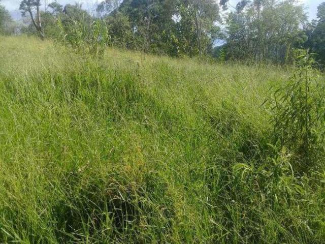 Terreno para venda em Chácara Do Solar Ii fazendinha de 3478.00m²