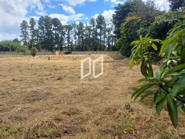 Terreno para venda em Chácara Flora Araraquara de 4000.00m²