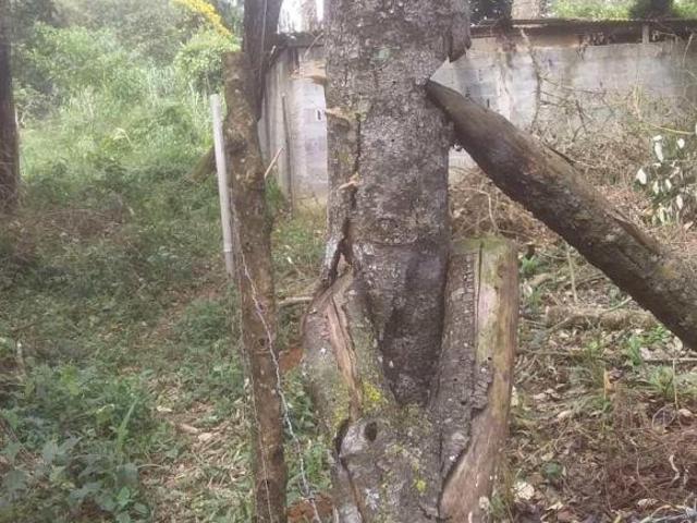 Terreno para venda em Chácara Jaguari fazendinha de 1061.00m²
