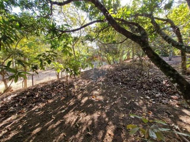 Terreno para venda em Chácara Recreio Floresta de 270.00m²