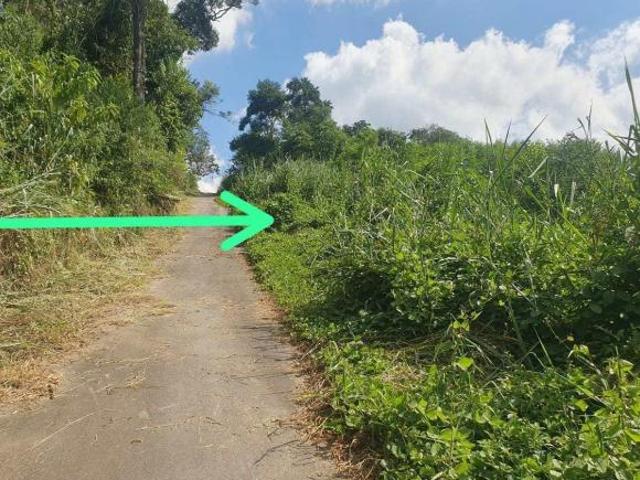 Terreno para venda em Chácaras São Luís de 5310.00m²