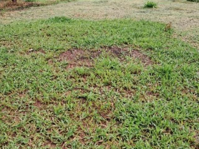 Terreno para venda em Chácaras Santa Martha de 800.00m²