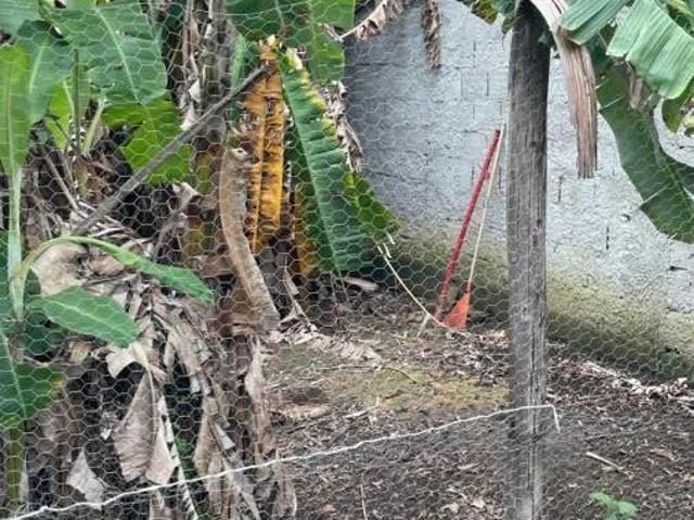 Terreno para Venda em Cruzeiro, Retiro da Mantiqueira