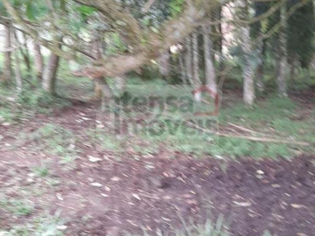 Terreno para venda em Cunha de 20000.00m²