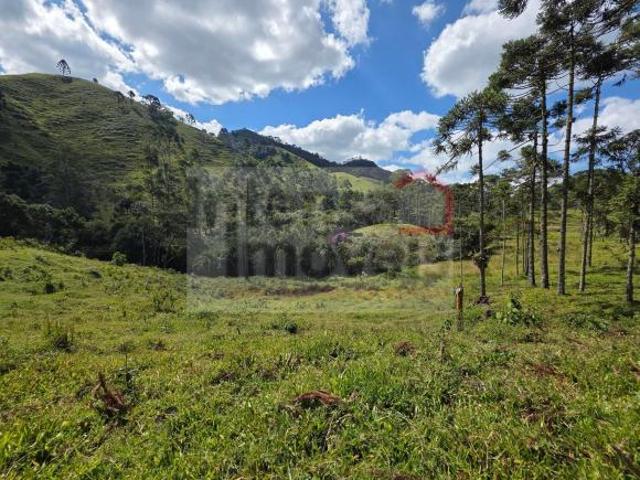 Terreno para venda em Cunha de 26500.00m²
