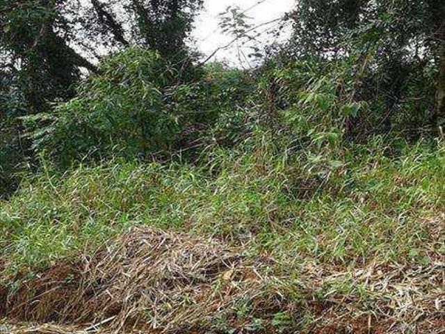 Terreno para venda em Cururuquara de 5840.00m²