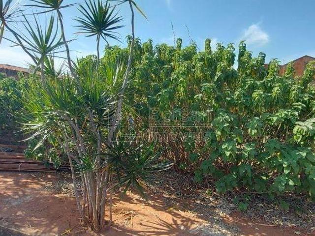 Terreno para venda em Adalberto Frederico Oliveira Roxo Ll de 200.00m²
