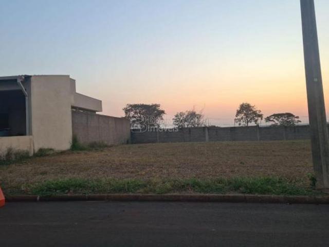 Terreno para venda em Alto Da Boa Vista de 236.00m²