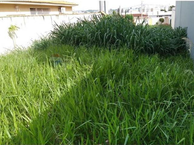 Terreno para venda em Alto Da Boa Vista de 300.00m²