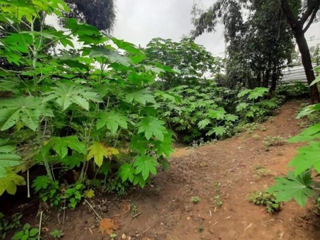Terreno para venda em Alvorada, Contagem