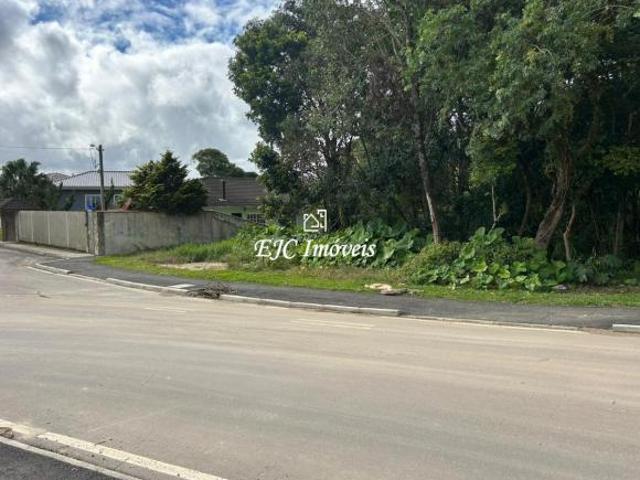 Terreno para Venda em Almirante Tamandaré, Colônia Antônio Prado