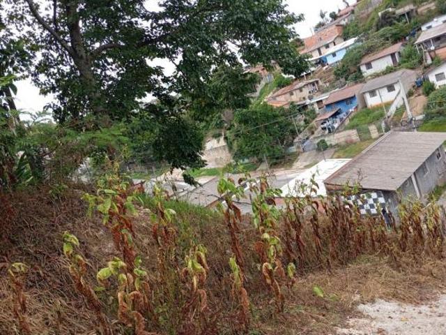 Terreno para Venda em Almirante Tamandaré, Jardim Monte Santo