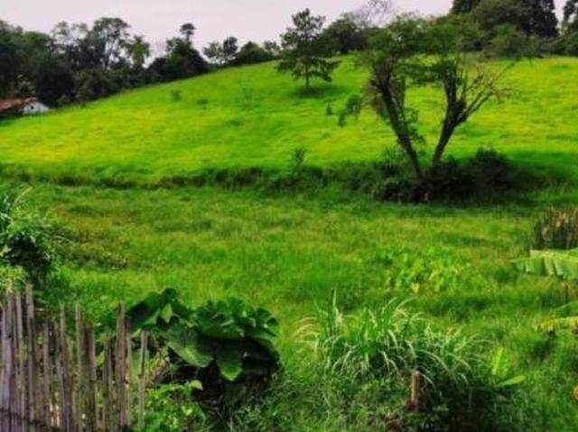 Terreno para Venda em Arujá, Parque dos Jacarandás