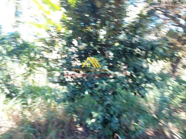 Terreno para Venda em Araçoiaba da Serra, Bosque Dos Eucaliptos