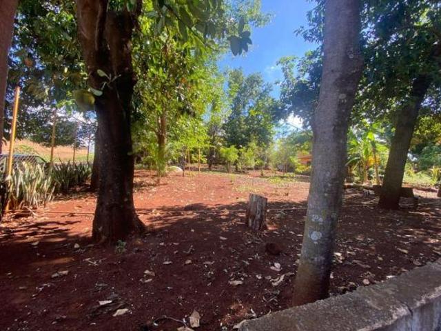 Terreno para venda em Araporã
