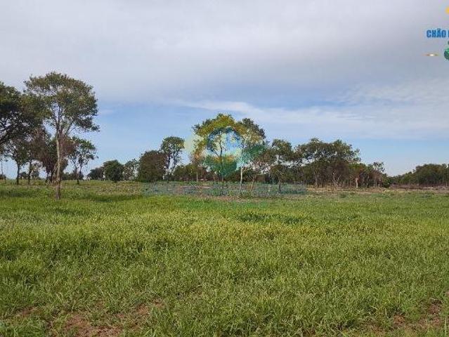 Chácara para venda em Área Rural de Campo Grande, Campo Gran